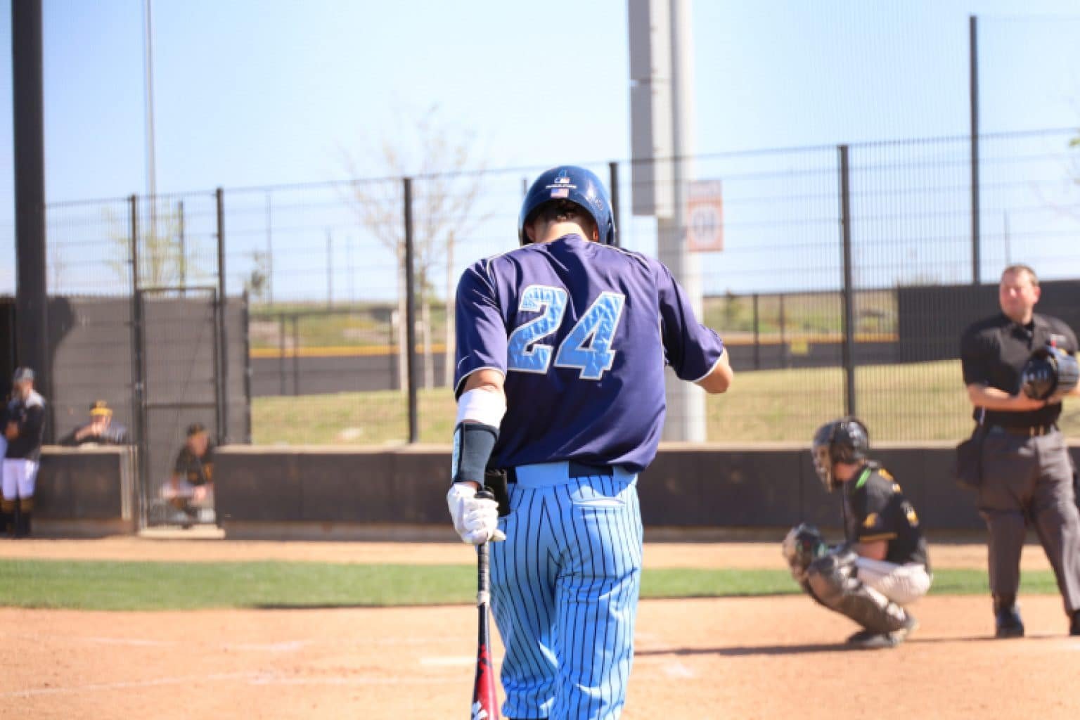 Cat 9 Baseball Bat Reviewed: The Ultimate budget-friendly BBCOR Bat